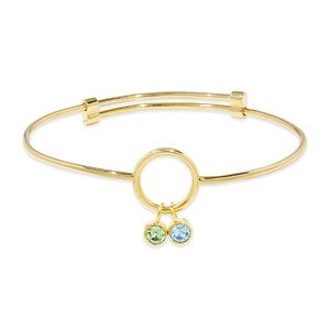 Custom Birthstone Charm Bangle Bracelet - 2 Stones