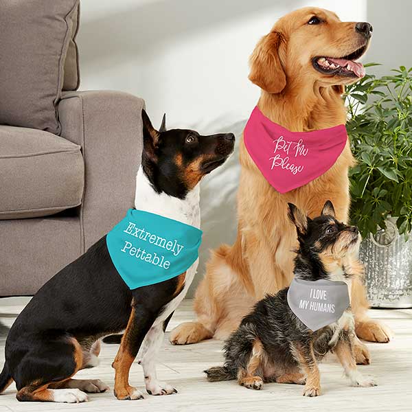 Pet Expressions Personalized Dog Bandana - Small