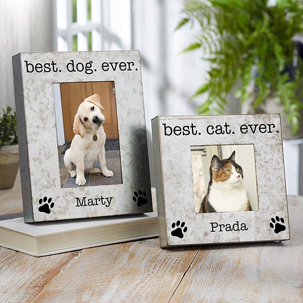 Pet Statements 4x6 Galvanized Box Picture Frame