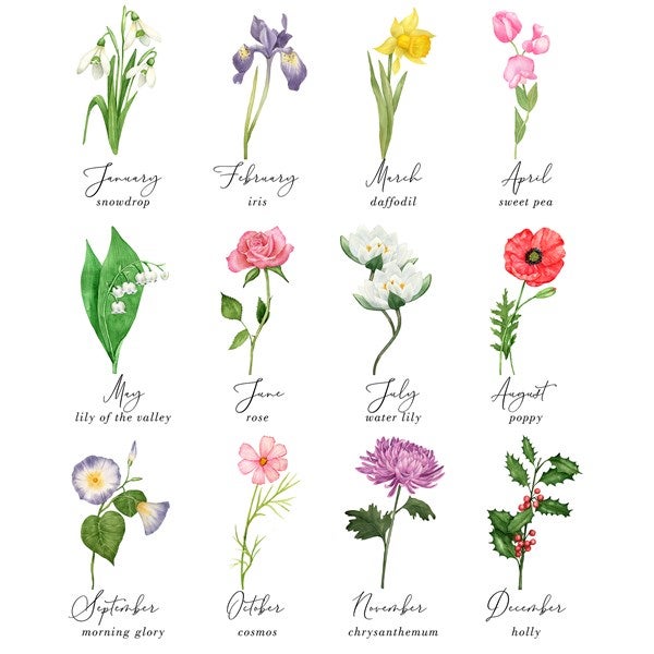 Family Birth Month Flowers Blackwashed Frame Wall Art 12x12
