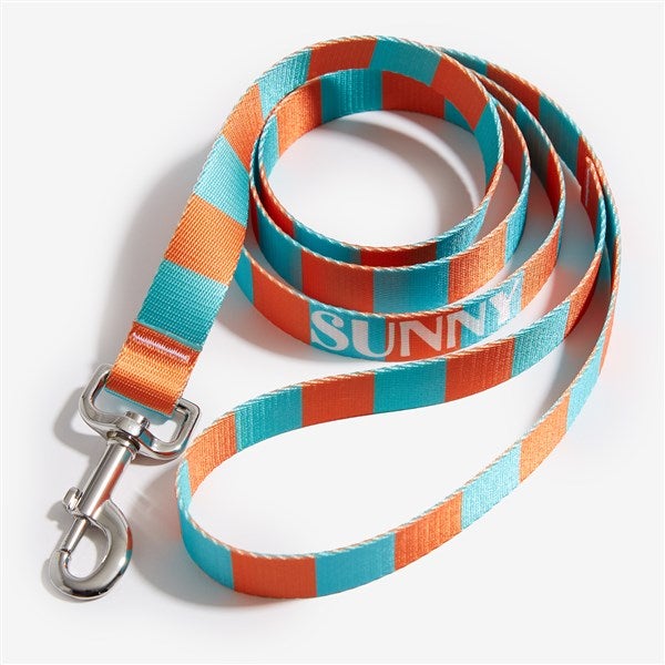 Bold Stripe Personalized Dog Leash