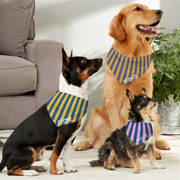 Bold Stripe Personalized Pet Bandana