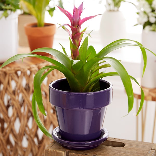 Personalized Flower Pot - Inspiration To Grow