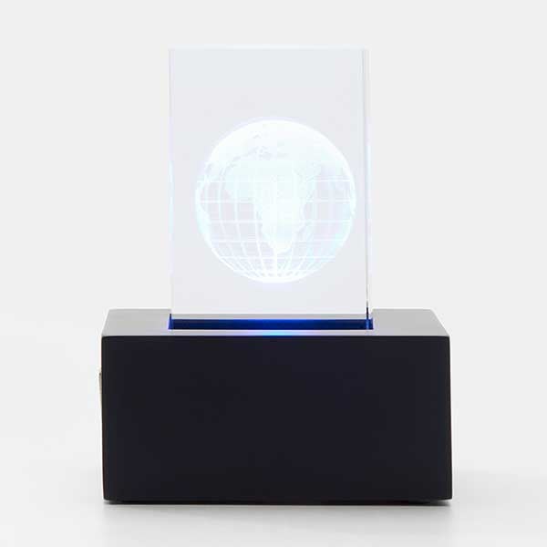 Engraved Planet Earth Light Up Globe