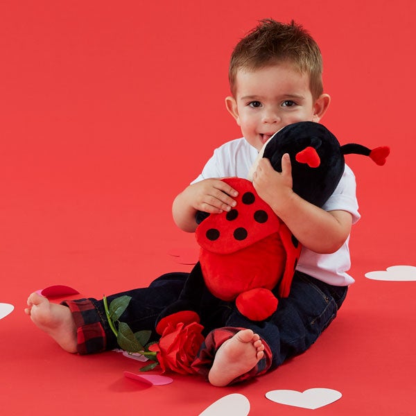 My Valentine Personalized Plush Love Bug with Pink Heart